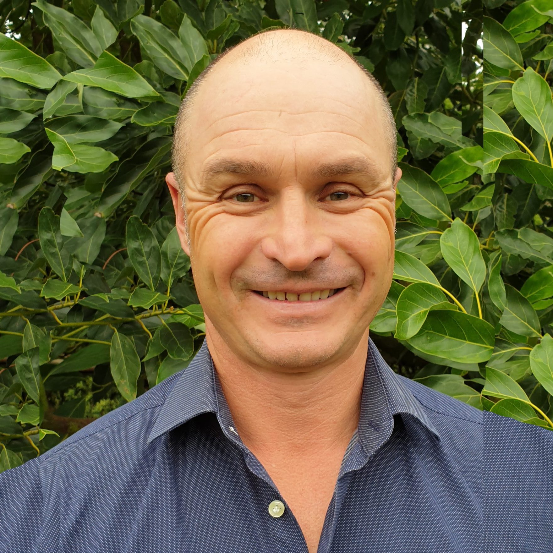 Operational update | Just Avocados | Avocado Service Provider Katikati ...