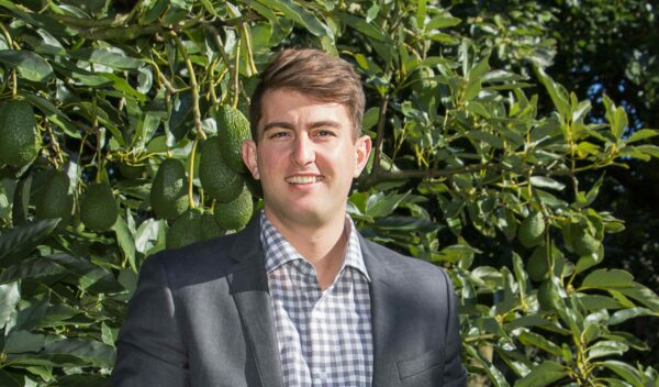 About us | Just Avocados | Avocado Service Provider Katikati, BOP, NZ